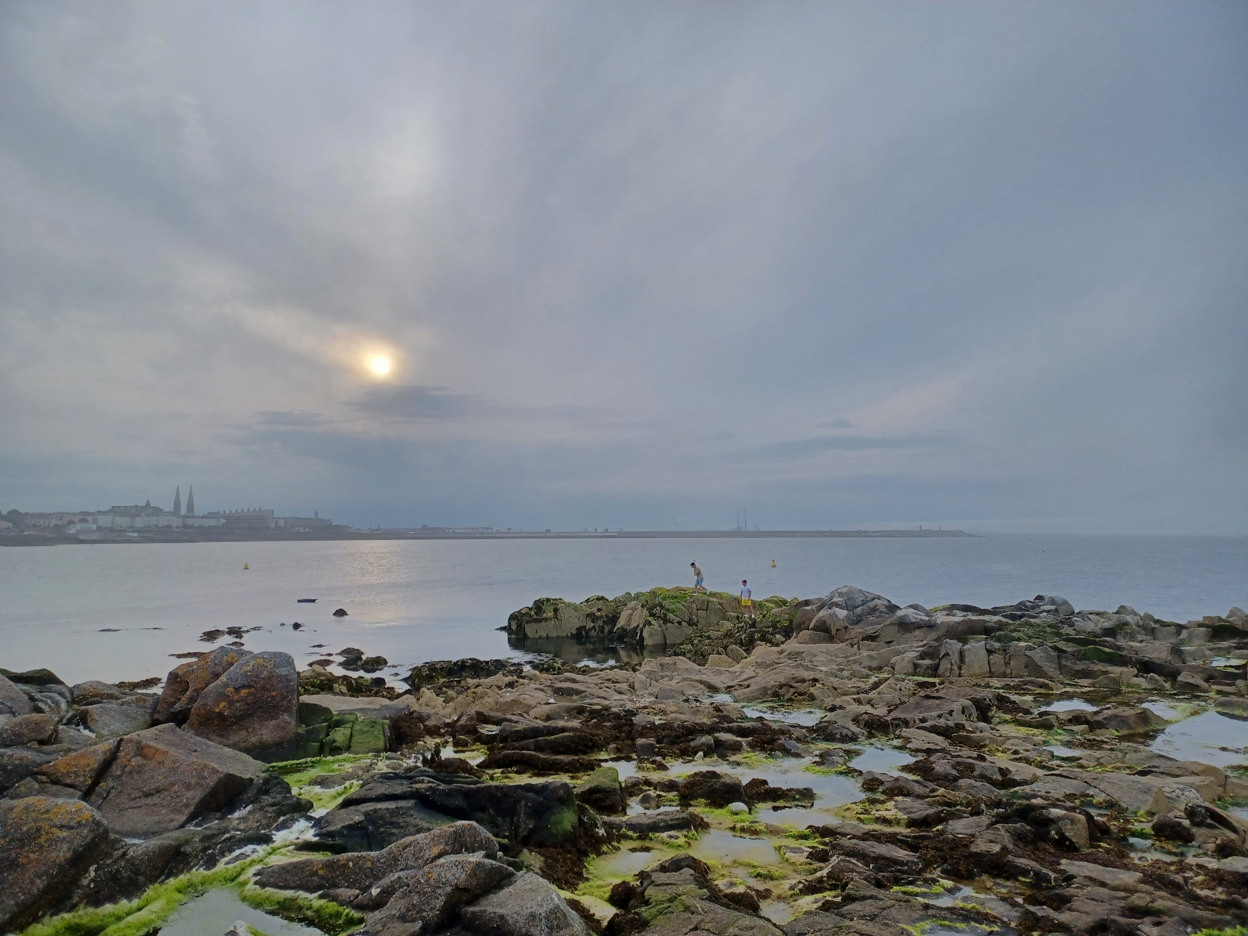 Midsummer Bulletin - Dublin City PPN